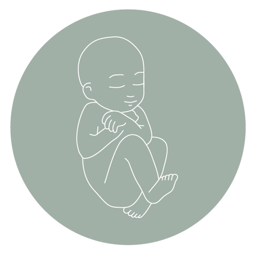 Bountiful New Zealand