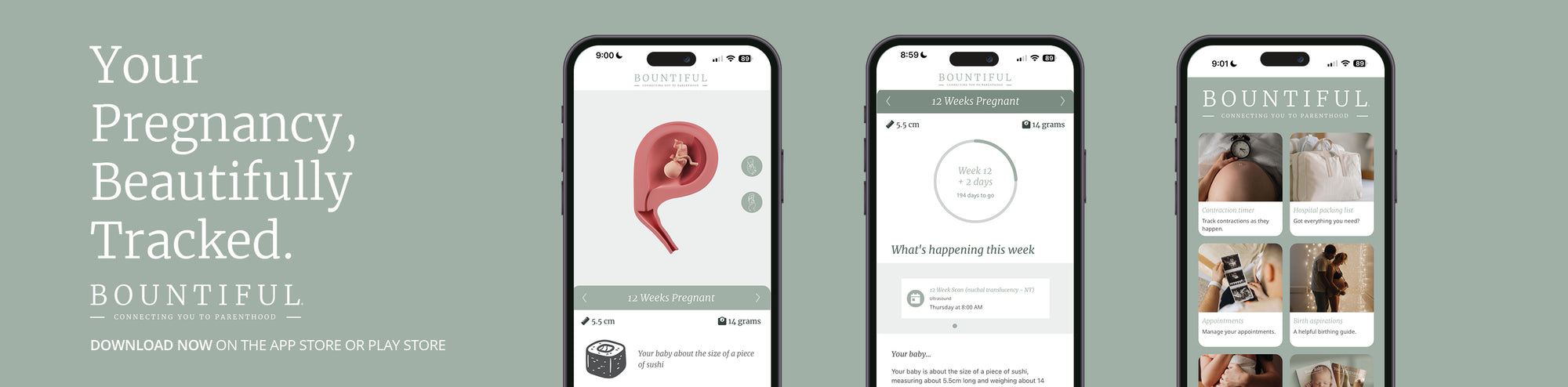 Bountiful New Zealand